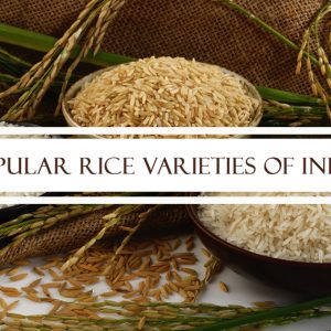 Popular Rice Varieties of India – Singarajan